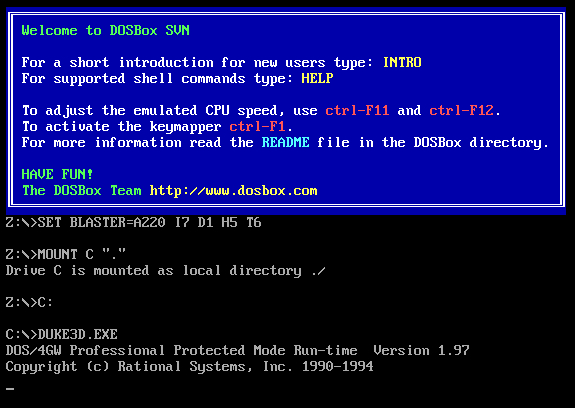 ¿Qué era el DOS/4GW Professional Protected Mode Run-Time? @ teknoPLOF!